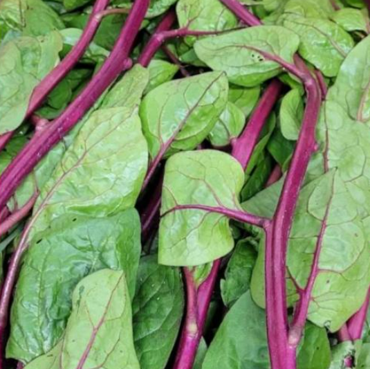 Organic Emperor Sprout (220 g) – Meod Fresh